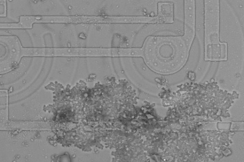 Electronic Component Failure Analysis - SEM Lab Inc.