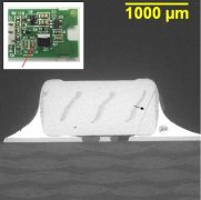 MLCC Flex Fracture - SEM Lab Inc.