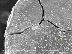 Glass Rectifier Diode - SEM Lab Inc.